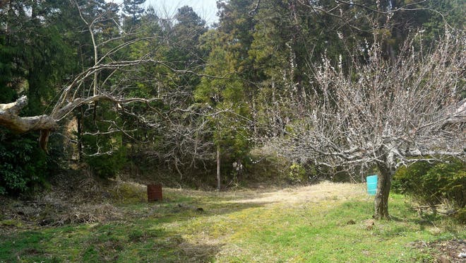 古民家空間 風楽の写真10