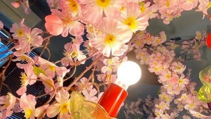 #ドドGoburin【道玄坂/渋谷】駅5分 クリスマス🎄忘年会🤶🌸学割🌸安い💸誕生日🎂推し活💓格安💰✨の写真7