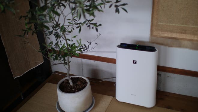 【東京都心から車で1時間半 /海まで30分 /茨城県行方市の1棟貸し多目的スペース】 の写真27