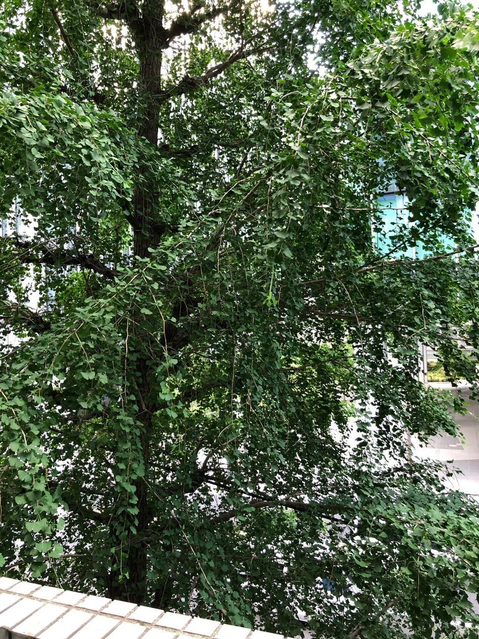 【新宿駅🚶‍4分】高速Wi-Fi💻VOD内蔵TV📺ゆったり過ごせるデザイナーズ貸し会議室♪ランドプレイス新宿南口の写真8