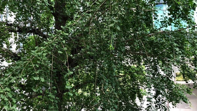 【新宿駅🚶4分】高速Wi-Fi💻VOD内蔵TV📺ゆったり過ごせるデザイナーズ貸し会議室♪ランドプレイス新宿南口の写真8