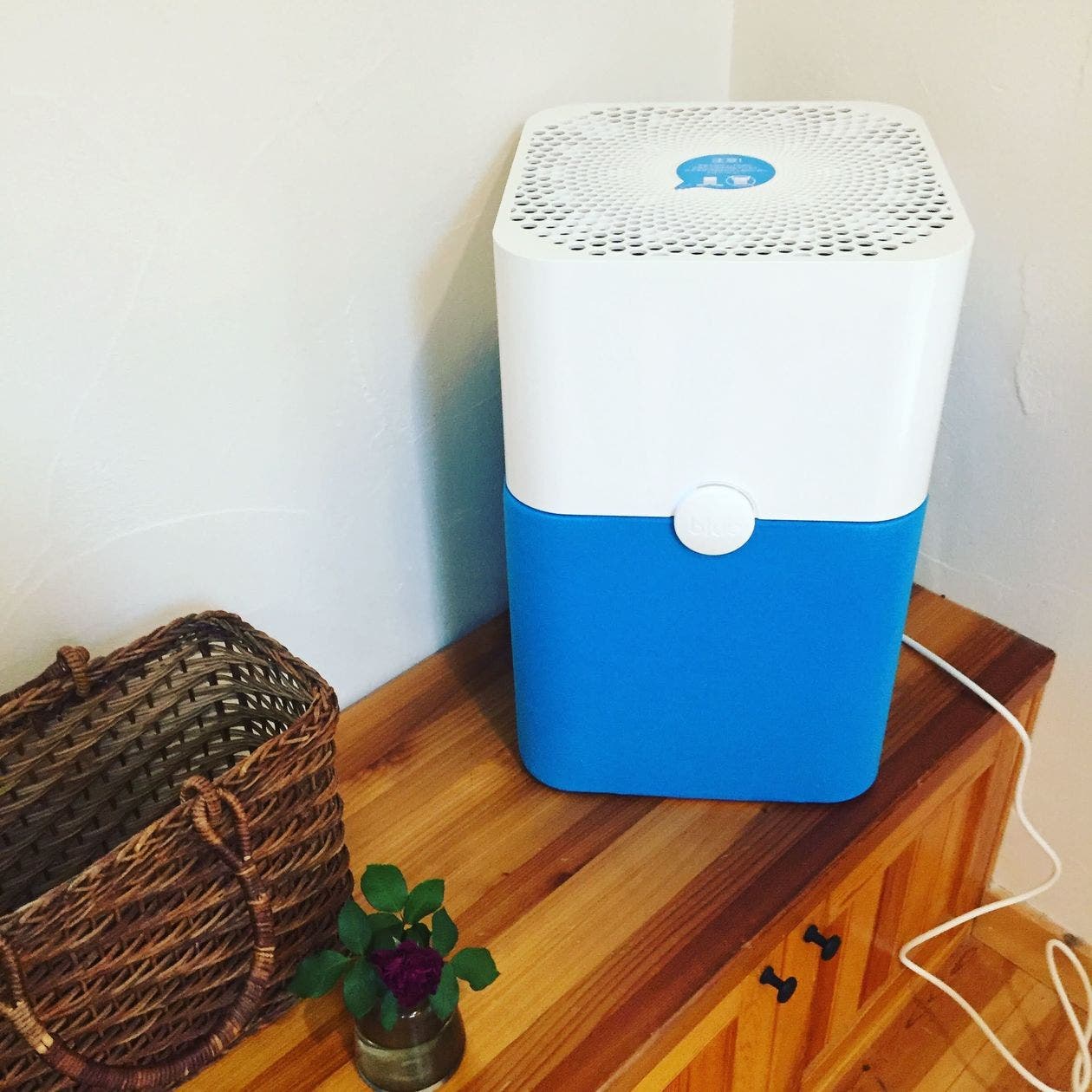 【キッチン付き自然光の一軒家ハウススタジオ】＊ゲストハウスモシモ＊ナチュラル・駅近・外観撮影OKの写真25