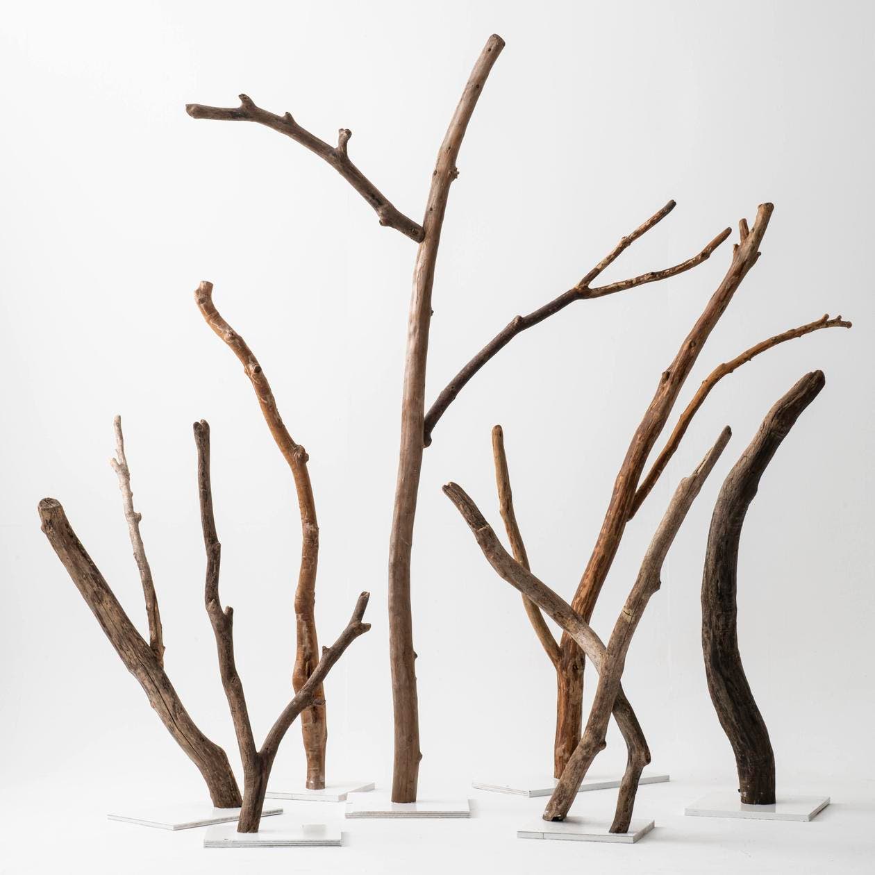 Ryubok(自立式/大)の画像1