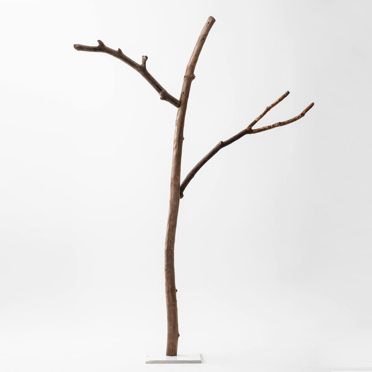 Ryubok(自立式/大)の画像2