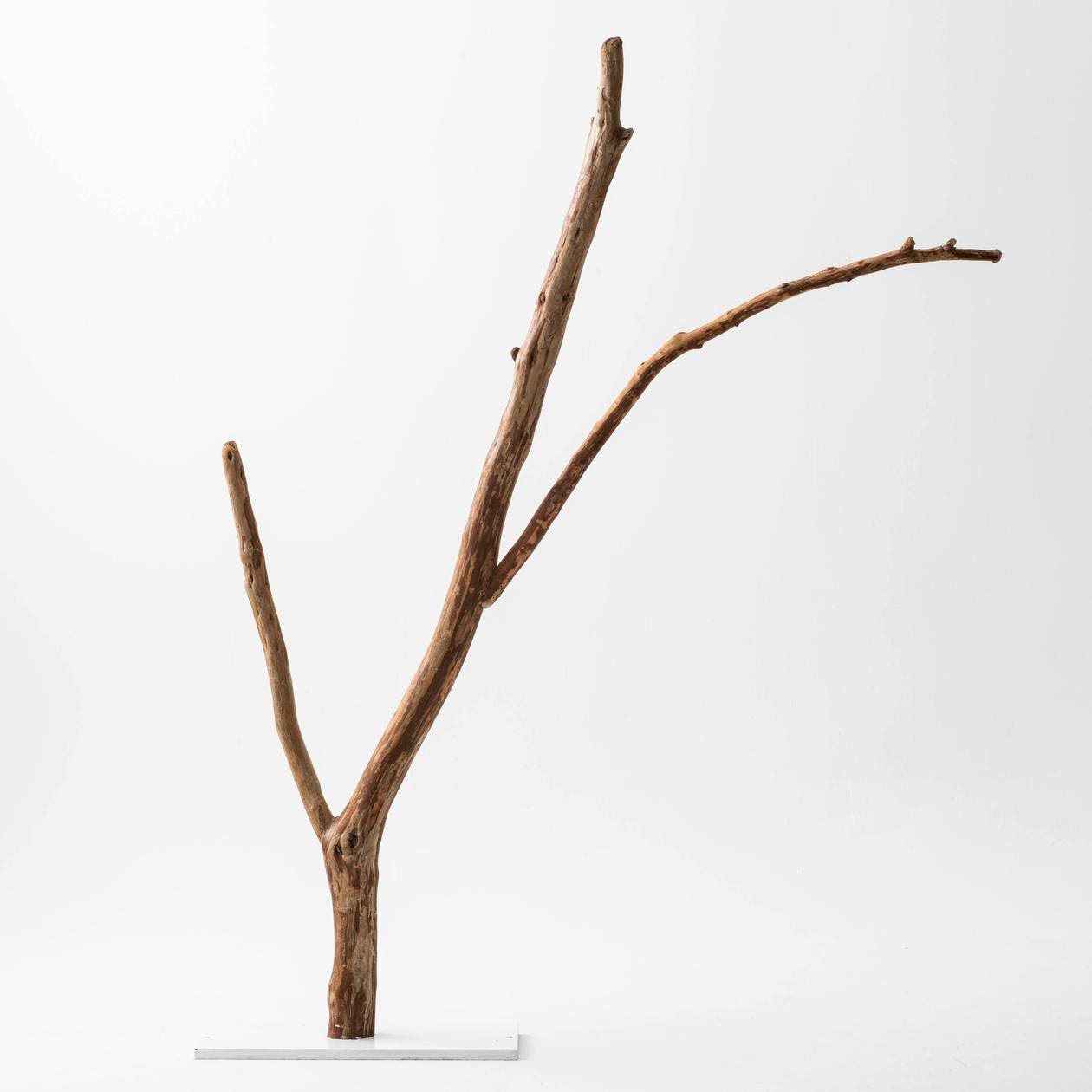 Ryubok(自立式/大)の画像3