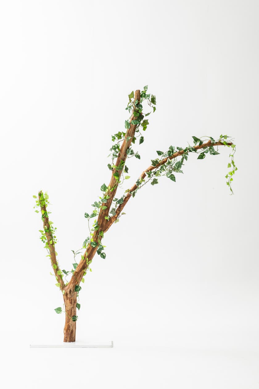 Ryubok(自立式/大)の画像5