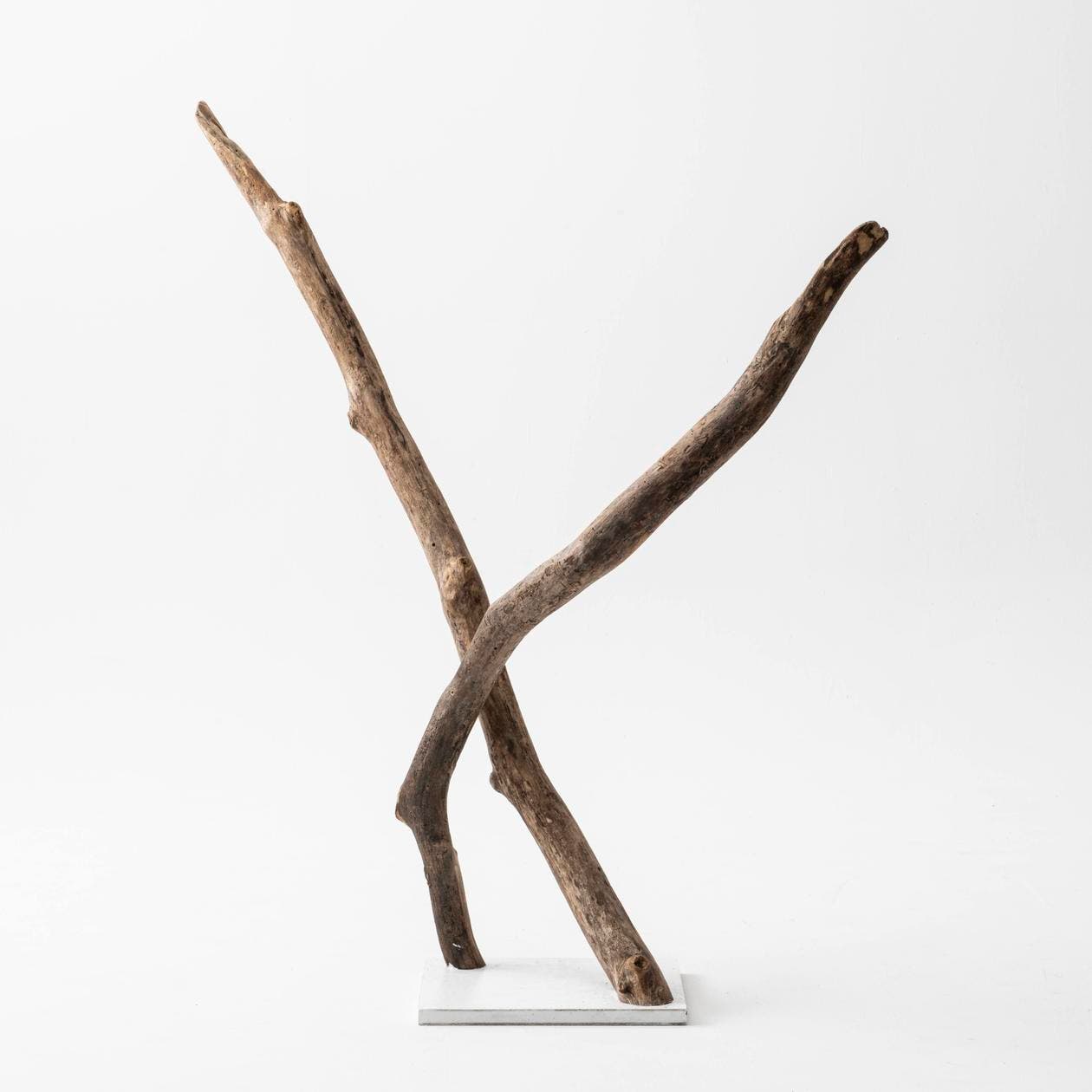 Ryubok(自立式/中)の画像1