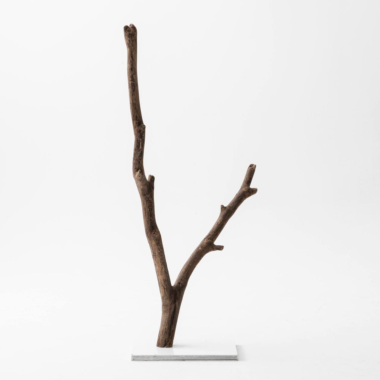 Ryubok(自立式/中)の画像3