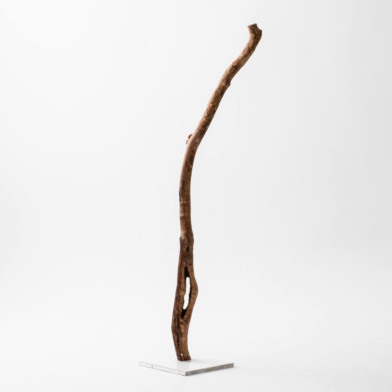 Ryubok(自立式/中)の画像4