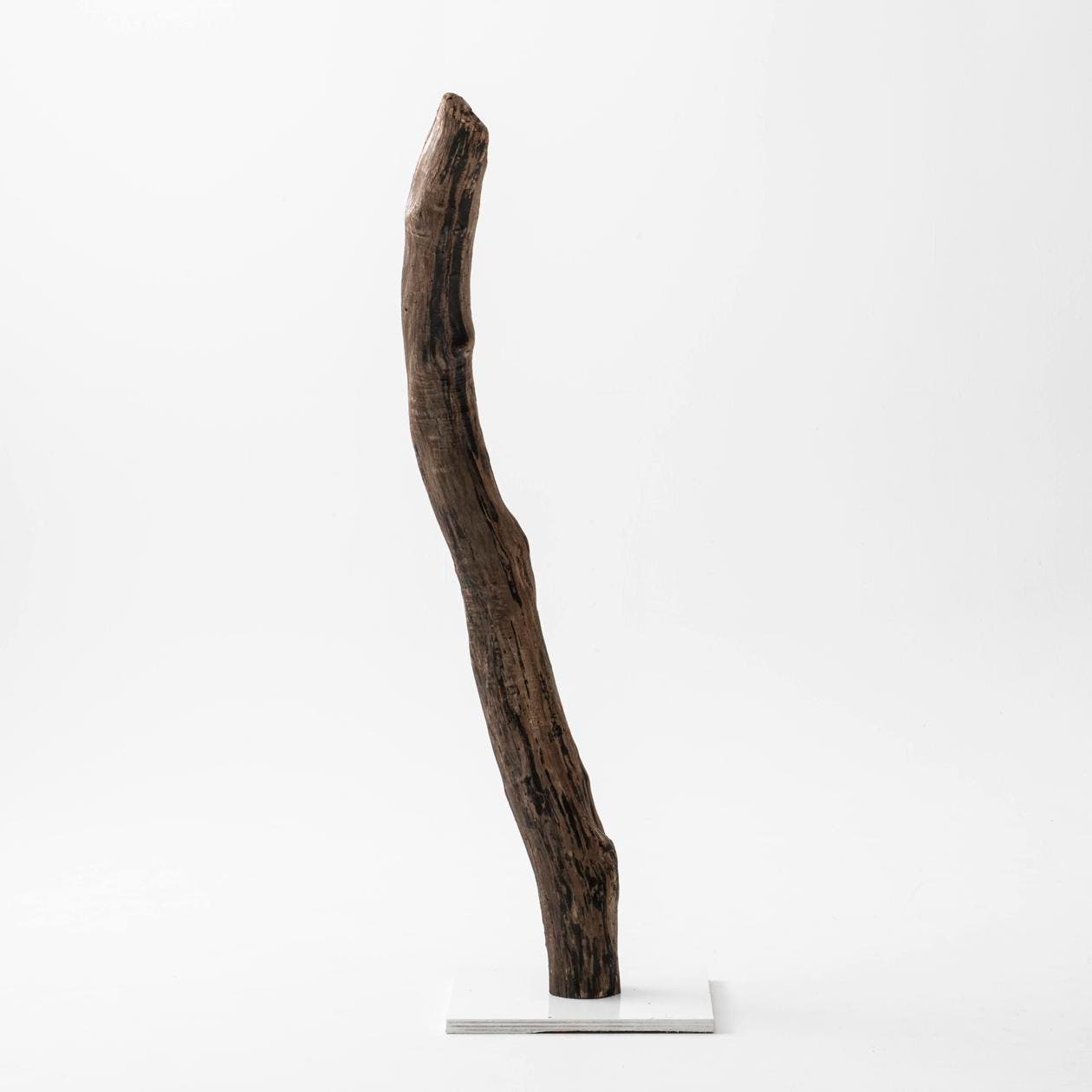 Ryubok(自立式/中)の画像5