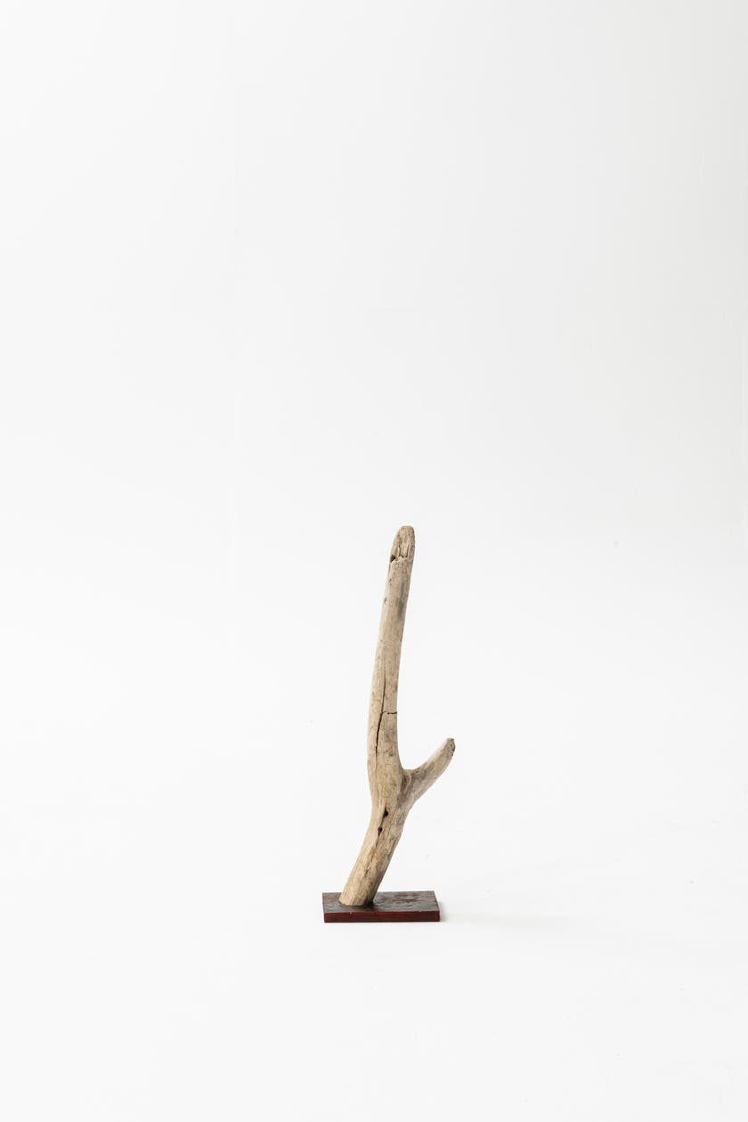 Ryubok(自立式/小)の画像2