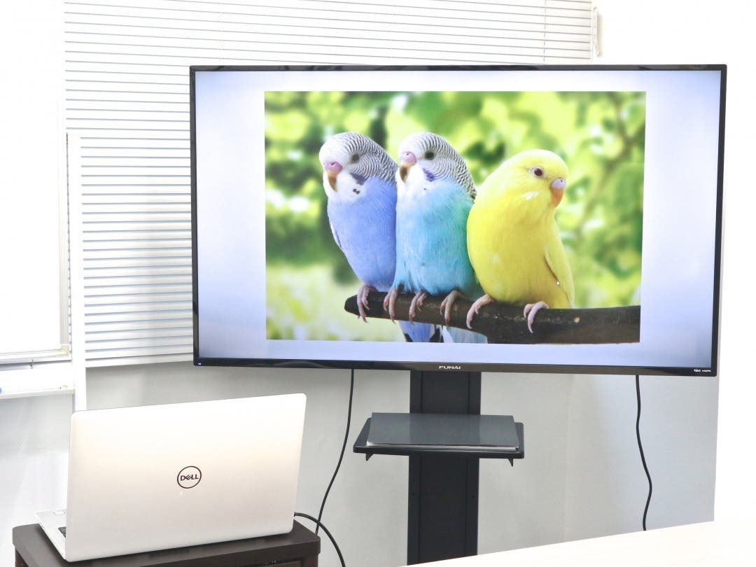 【平日900円プラン！】 NURO光★神保町 コトリノトリコ★ 土足OK！wi-fi 50V型TV ボードゲーム  dysonの写真13