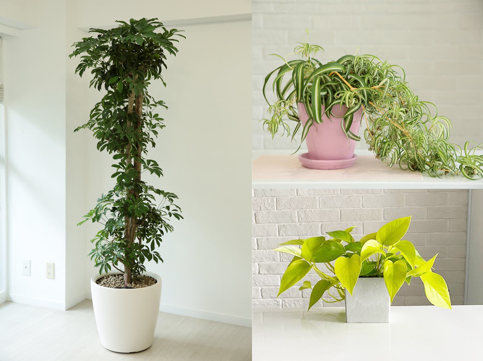 最高のロケーションと内装にこだわったアートな空間。 会議、講座、撮影、調理にも対応。の写真24