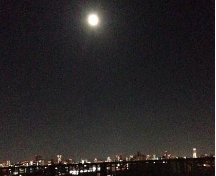 STAY STUDIO　プチメゾン　ROOF　TOPの写真7