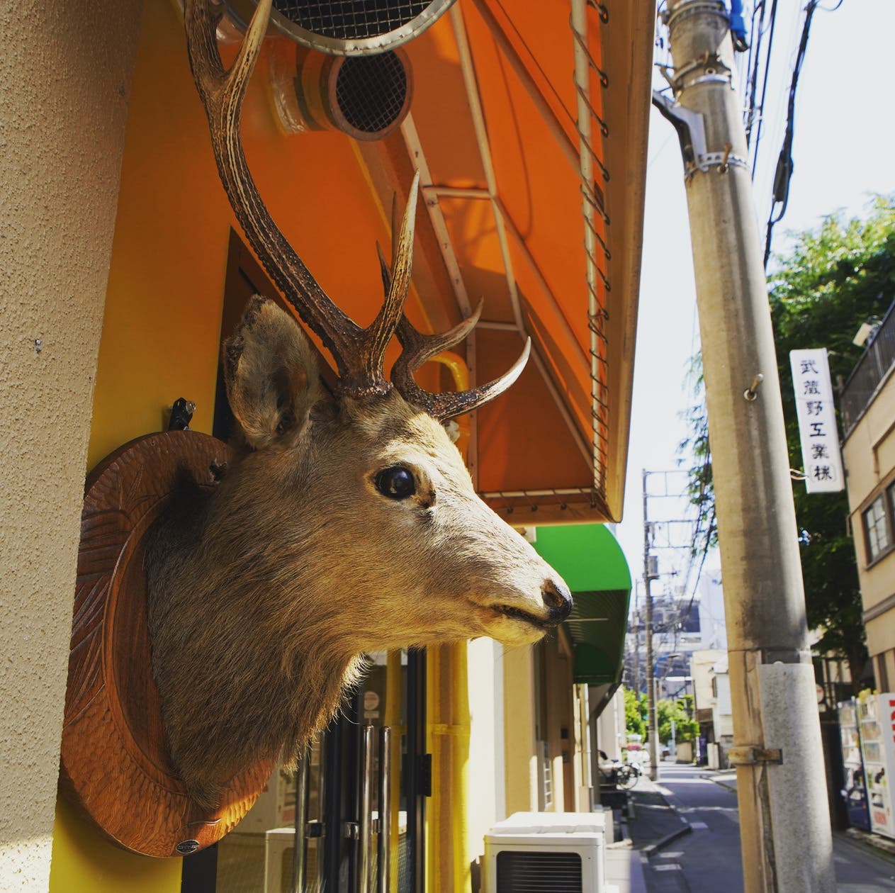 新宿近辺(東新宿) 隠れ家的な1F路面飲食店を貸切！ カフェ&レストラン (カウンター有)の写真7