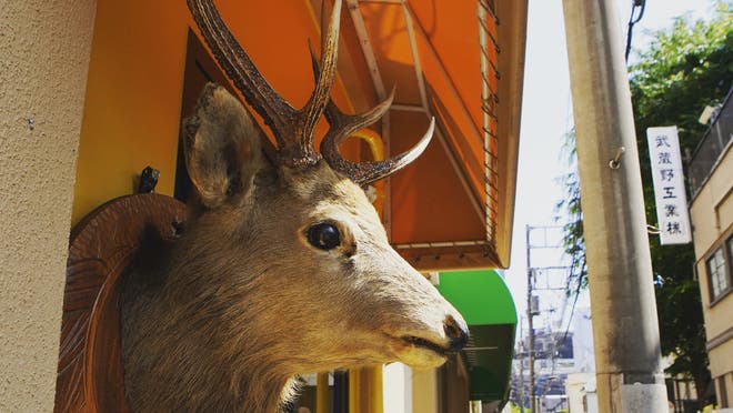 新宿近辺(東新宿) 隠れ家的な1F路面飲食店を貸切! カフェ&レストラン (カウンター有)の写真7