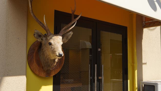 新宿近辺(東新宿) 隠れ家的な1F路面飲食店を貸切! カフェ&レストラン (カウンター有)の写真1