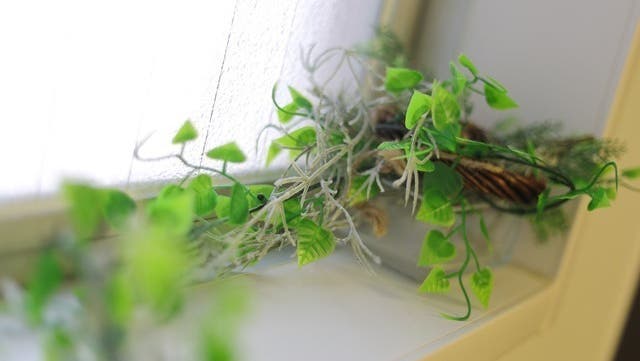 ④NEW♫お洒落なマンションの一室を丸ごと貸し切り♪ 撮影・収録・PV・コスプレ・ポートレート撮影に!/新神戸駅徒歩5分の写真14