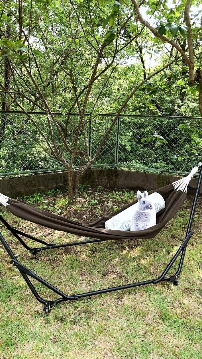 [CAMPY西宮]1日1組限定で安心！！開放的な庭でガーデンキャンプ★BBQやピクニックやイベントなどに！！の写真5