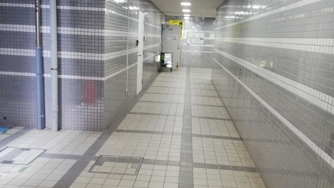 格闘技練習に最適!ダンスレッスン、柔術、キックボクシングの練習に。の写真4