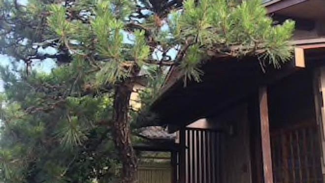 テレビCM撮影に使われた純和風古民家!駅近で好アクセス!無料駐車場完備!御親戚の集り・女子会・各種撮影等に!!の写真2