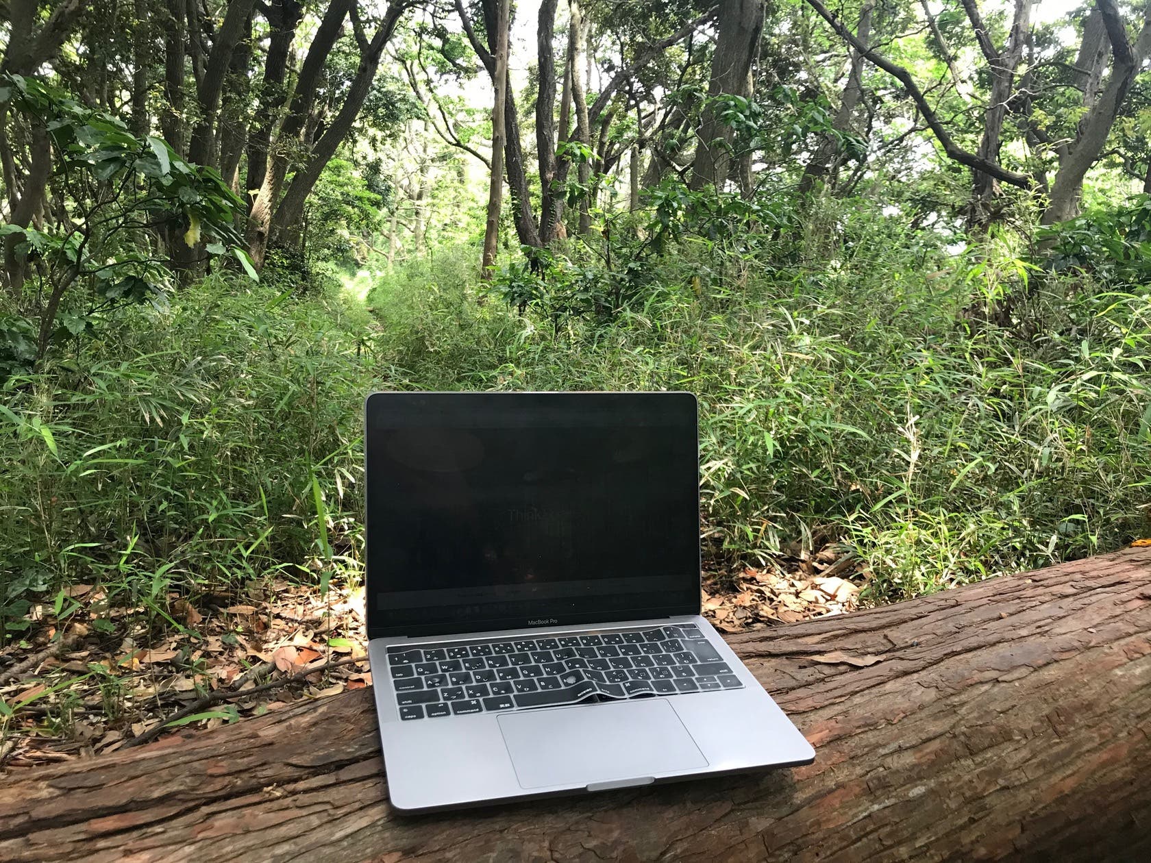 【自然を感じられるリノベ古民家の個室利用】駅徒歩5分。 テレワーク、オフサイトミーティングに最適！の写真7