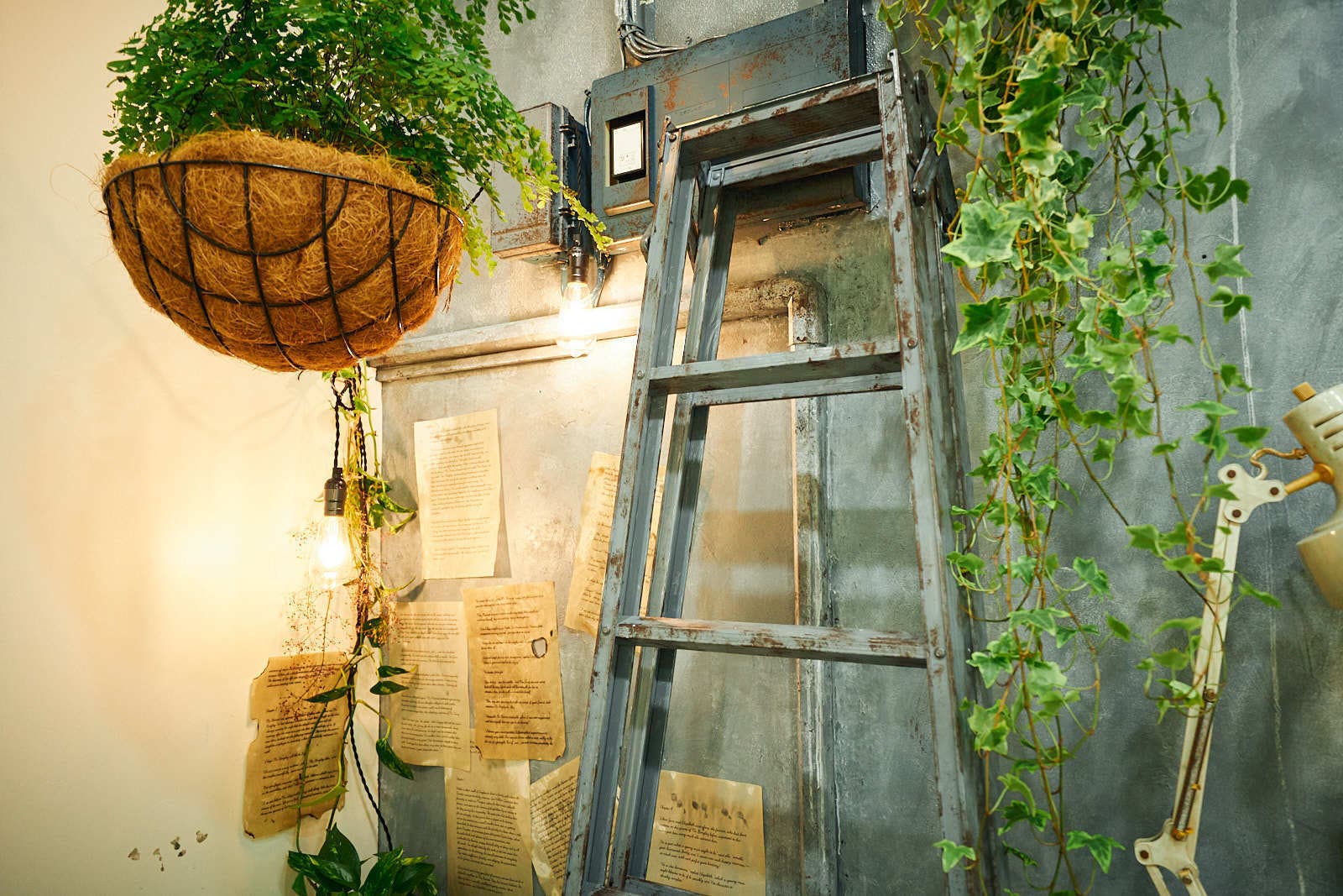 STUDIO67 River【駅徒歩7分】グリーンに癒される ガーリーでフレンチシックなスタジオ。パーキングスペース有！の写真16