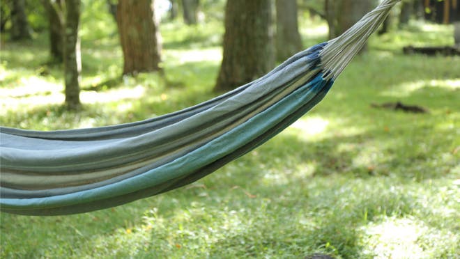 【山中湖フォレスオ】森林オートキャンプ 森林浴を楽しみながらキャンプができます。の写真4