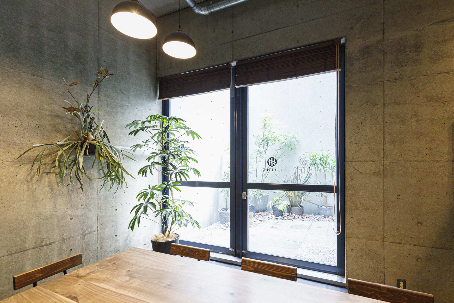 天高４m｜屋外地下ガーデン｜自然光｜撮影・インタビュー・ワークショップ・イベント・パーティー等に最適なコンクリデザイン空間の写真15