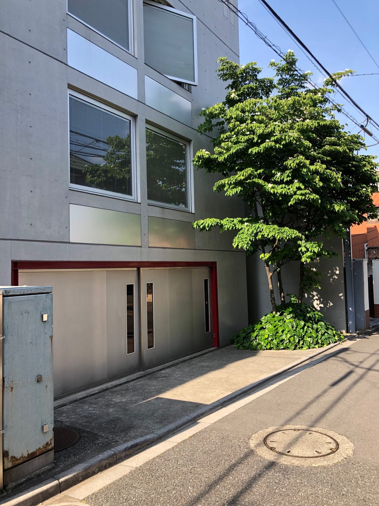 天高４m｜屋外地下ガーデン｜自然光｜撮影・インタビュー・ワークショップ・イベント・パーティー等に最適なコンクリデザイン空間の写真18