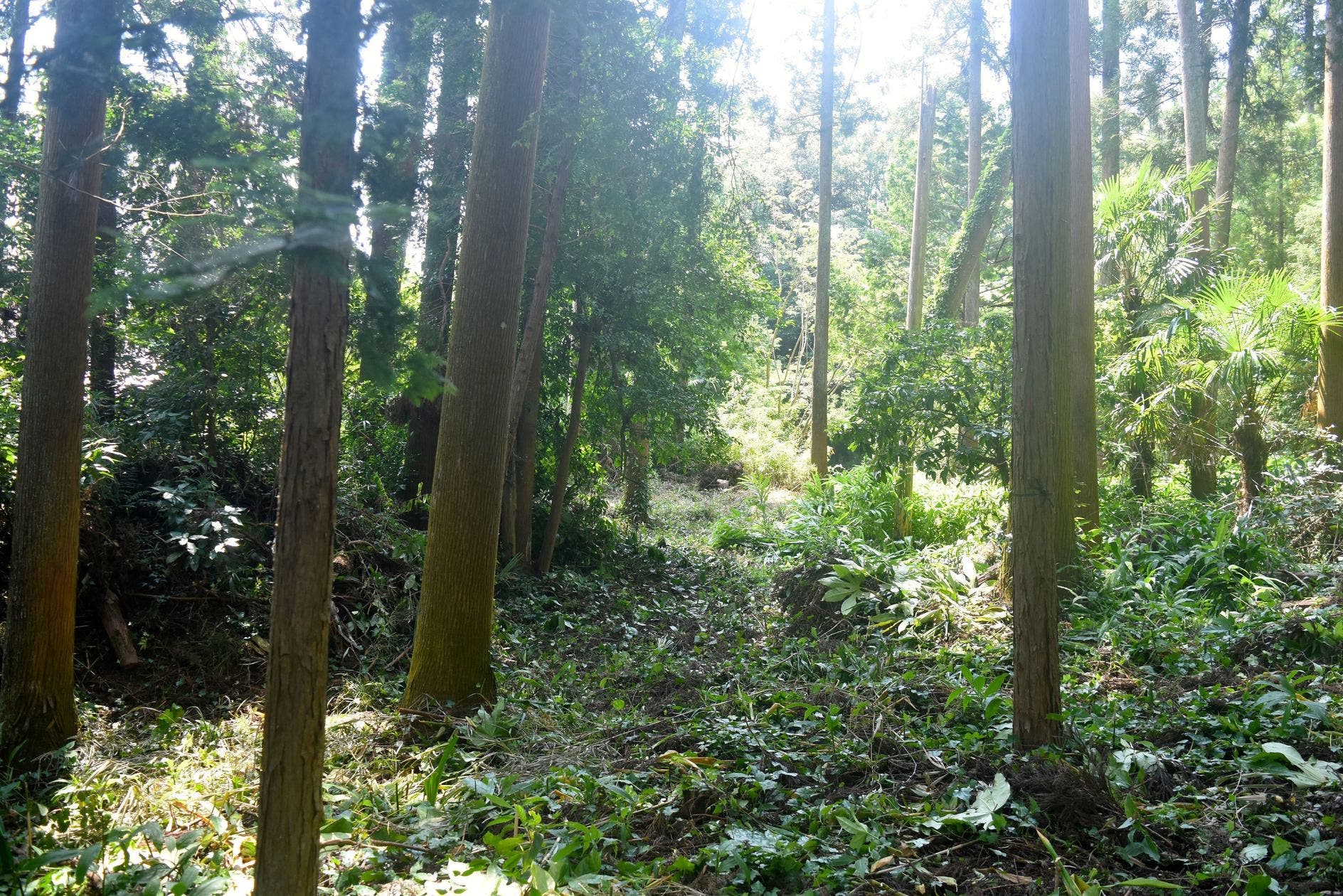 古民家空間　風楽の写真17