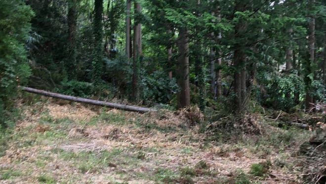 古民家空間 風楽の写真18