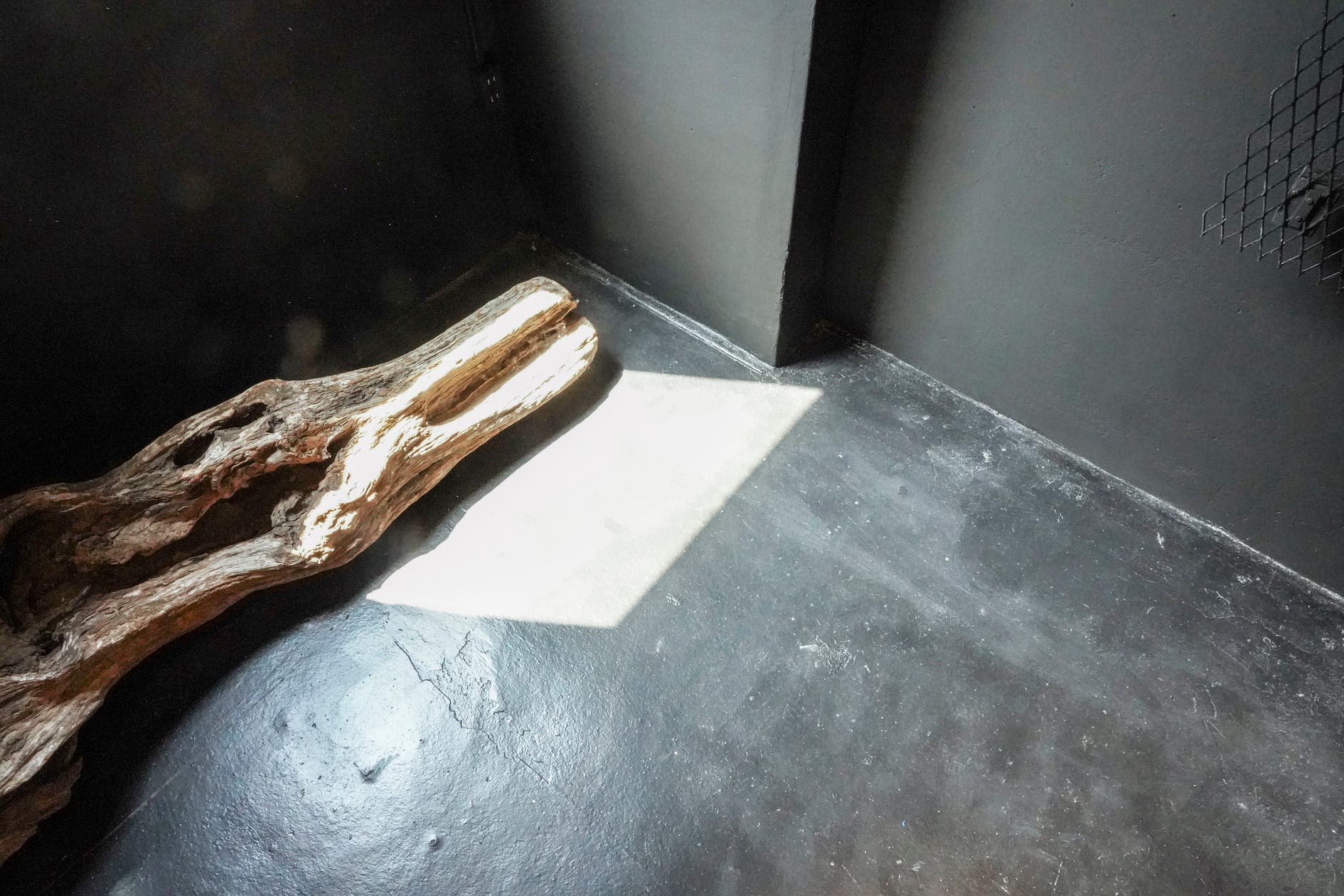 AREA31  JUNK CHIC(スタジオ＆ギャラリー＆多目的スペース）の写真7