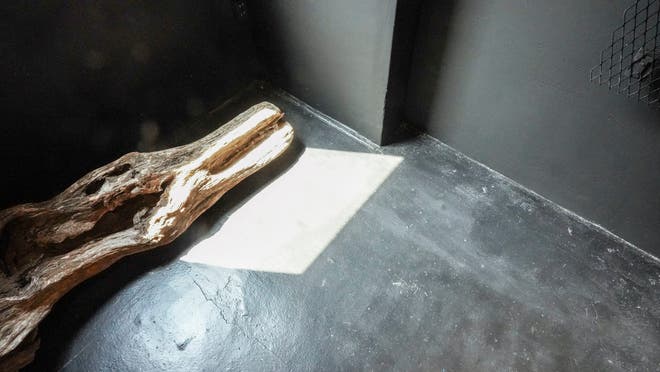 AREA31 JUNK CHIC(スタジオ&ギャラリー&多目的スペース)の写真7