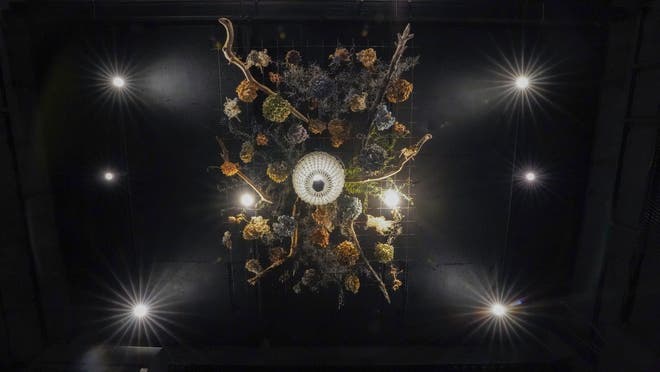 AREA31 JUNK CHIC(スタジオ&ギャラリー&多目的スペース)の写真8