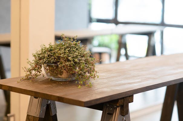 非日常なフラワー空間！！　パーティー・オフ会・女子会・誕生日会・ママ会・動画撮影・推し活・会議利用などの写真15