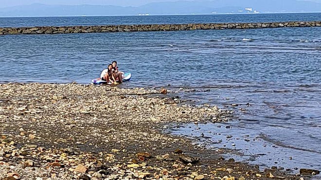 知多半島先端の貸別荘の写真2