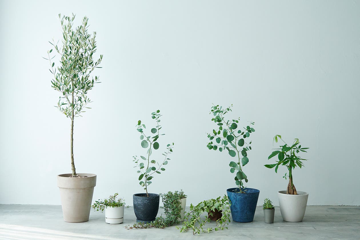 優しい自然光と白壁で撮影できる小さいフォトスタジオの写真11