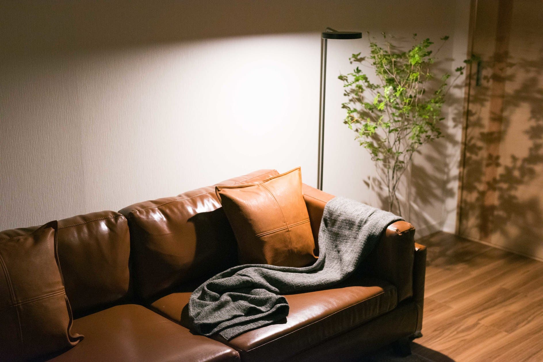 【TORAスカイツリー】押上駅3分★60平米2LDKの綺麗な内装★広々空間でゆったり★Dの写真3