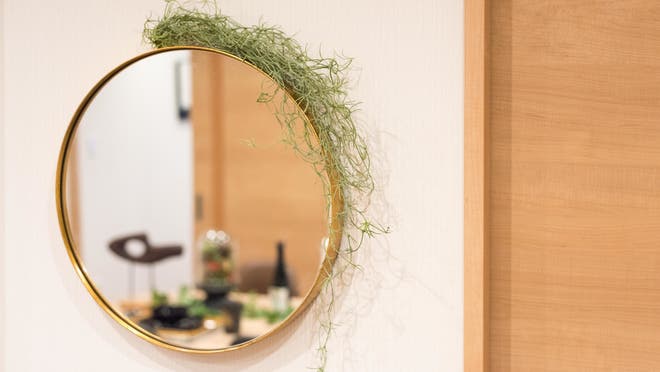 【TORAスカイツリー】押上駅3分★60平米2LDKの綺麗な内装★広々空間でゆったり★Dの写真9