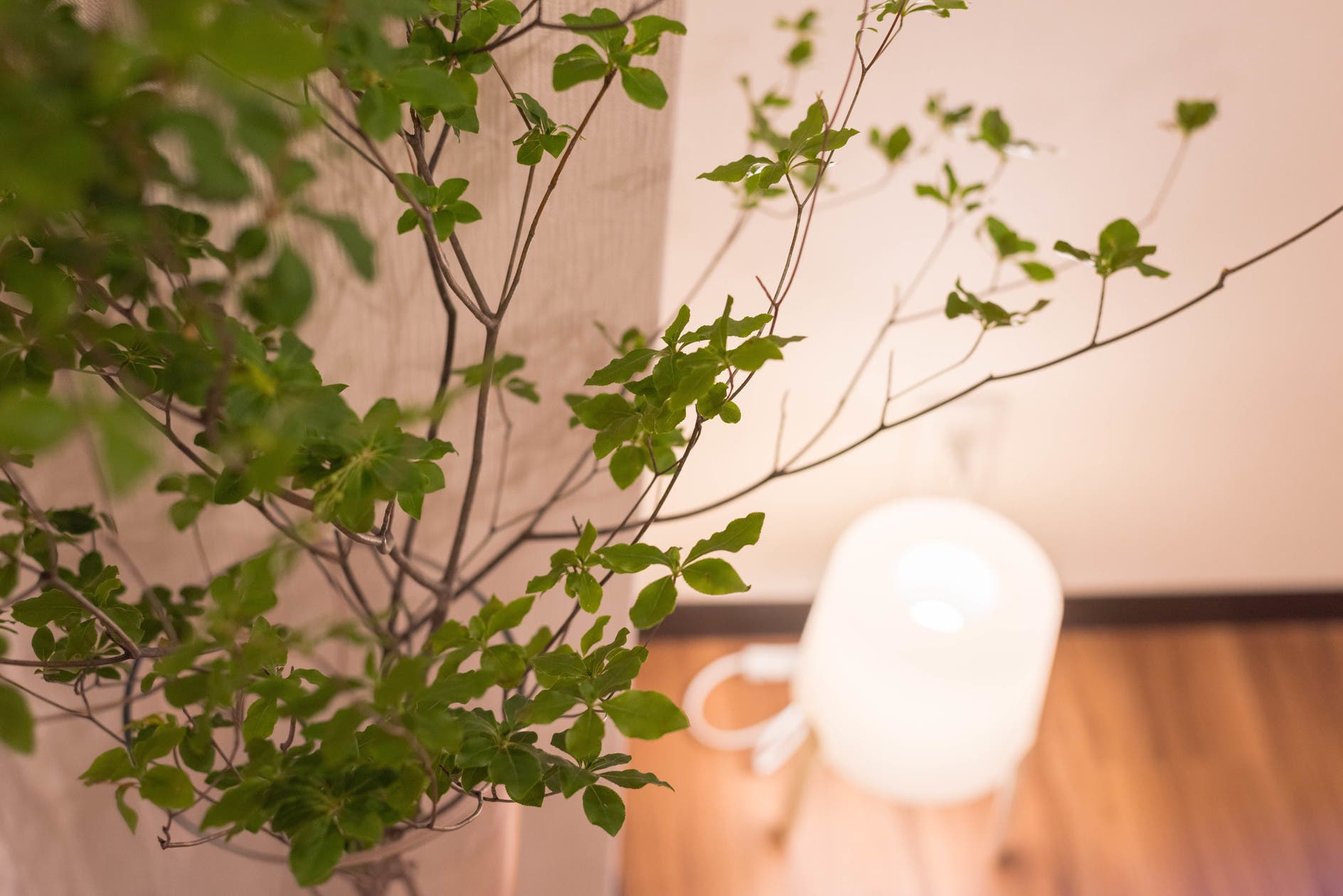 【TORAスカイツリー】押上駅3分★60平米2LDKの綺麗な内装★広々空間でゆったり★ Aの写真7