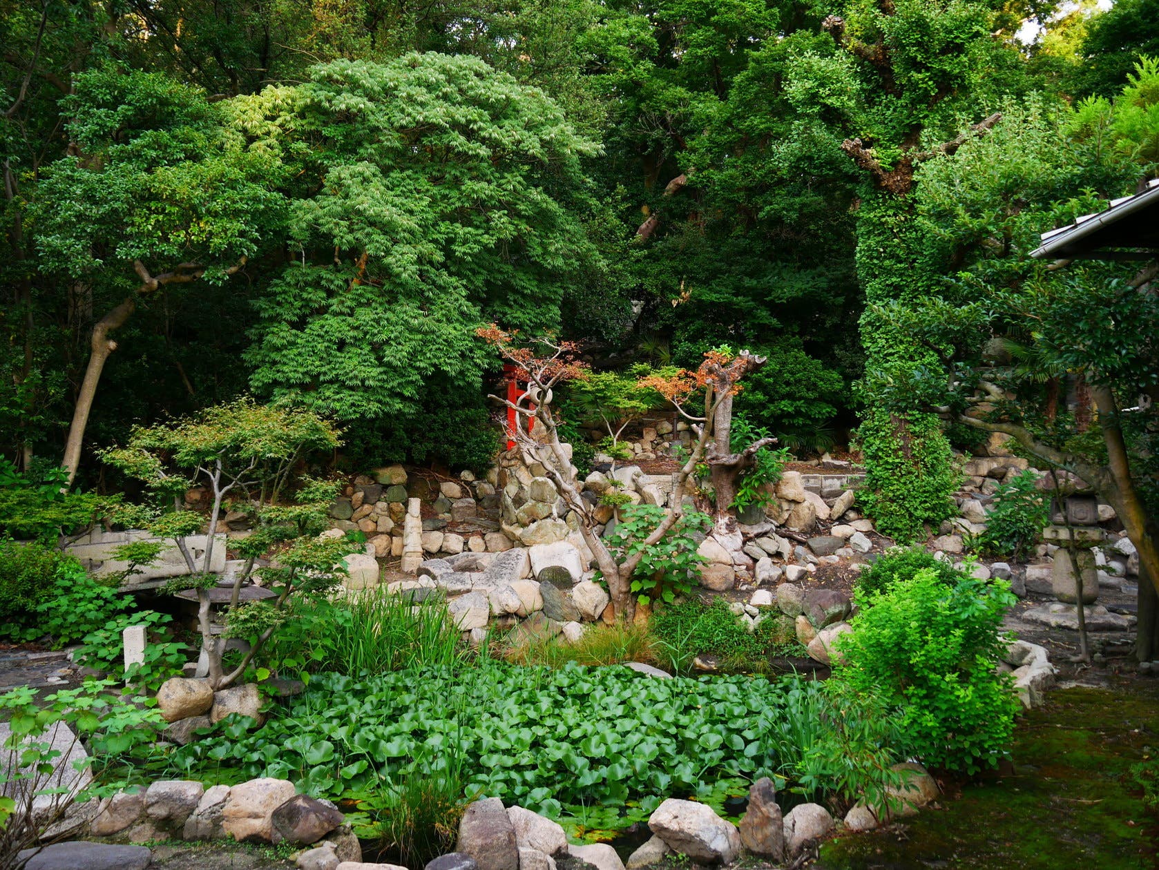400年の歴史があるお寺の広間を開放します！〇〇会、〇〇撮影、会議利用など！の写真5