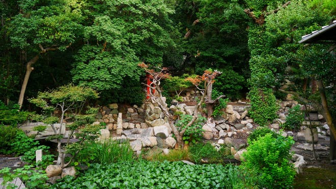 400年の歴史があるお寺の広間を開放します!〇〇会、〇〇撮影、会議利用など!の写真5