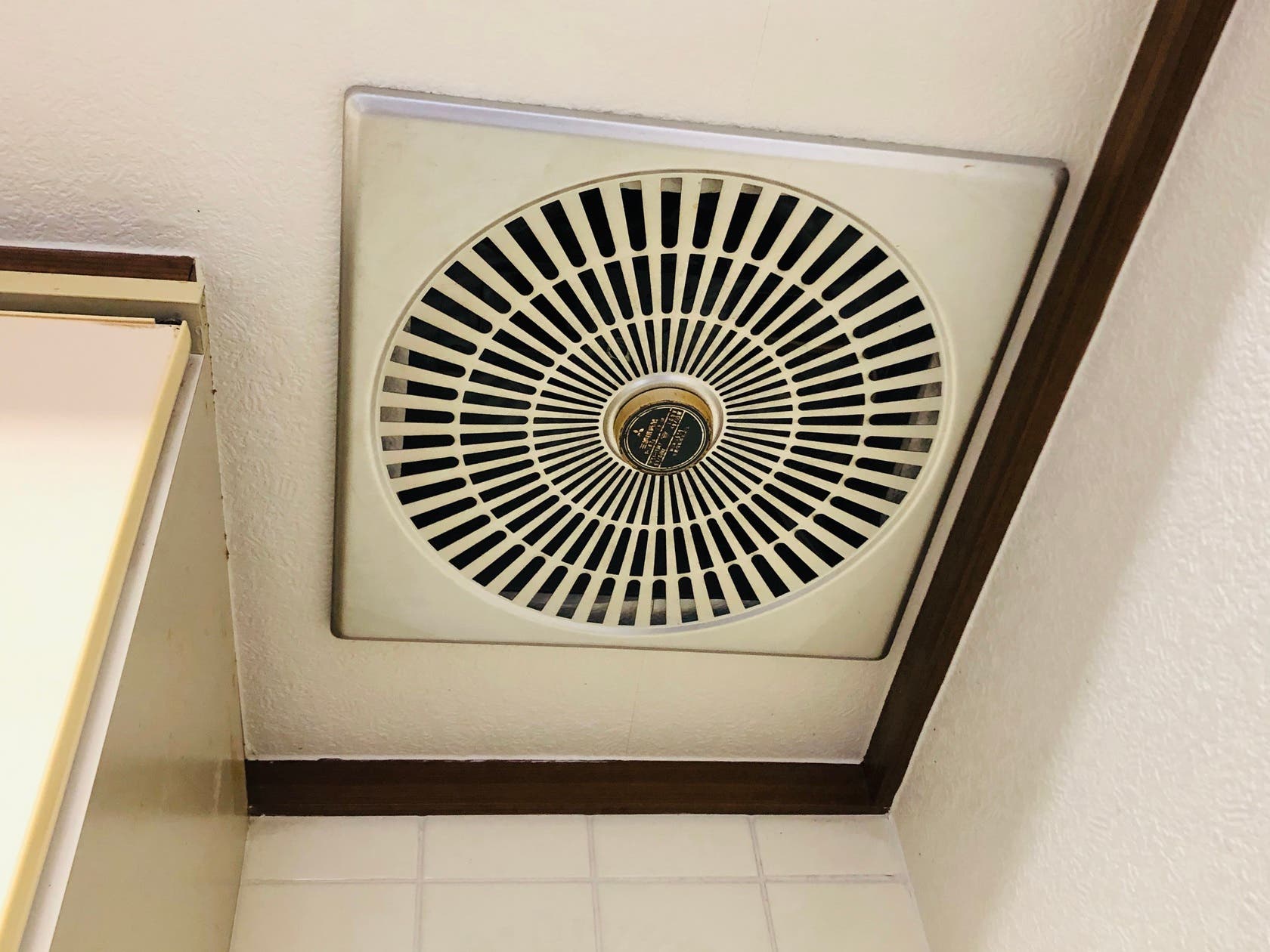 ✨金山でダンス✨ヨガ、トレーニング、ウォーキング✨楽器はNGの写真8