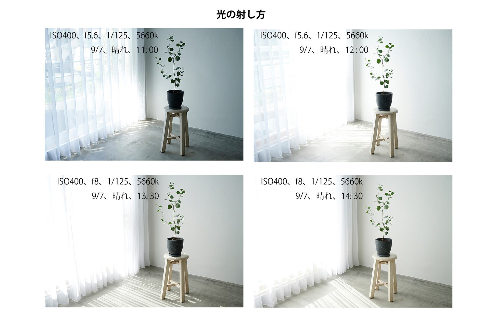 優しい自然光と白壁で撮影できる小さいフォトスタジオの写真14