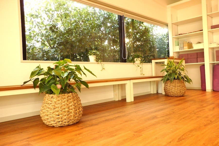 緑の見えるスポーツスタジオ！ヨガ・ダンス・バレエ・撮影・会議などに！の写真1