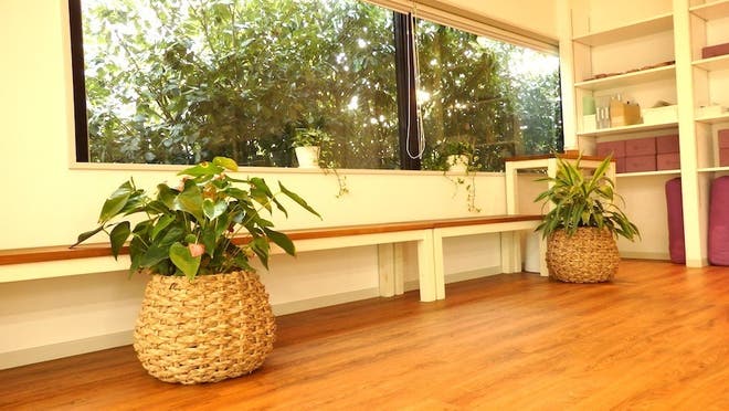 緑の見えるスポーツスタジオ!ヨガ・ダンス・バレエ・撮影・会議などに!の写真1