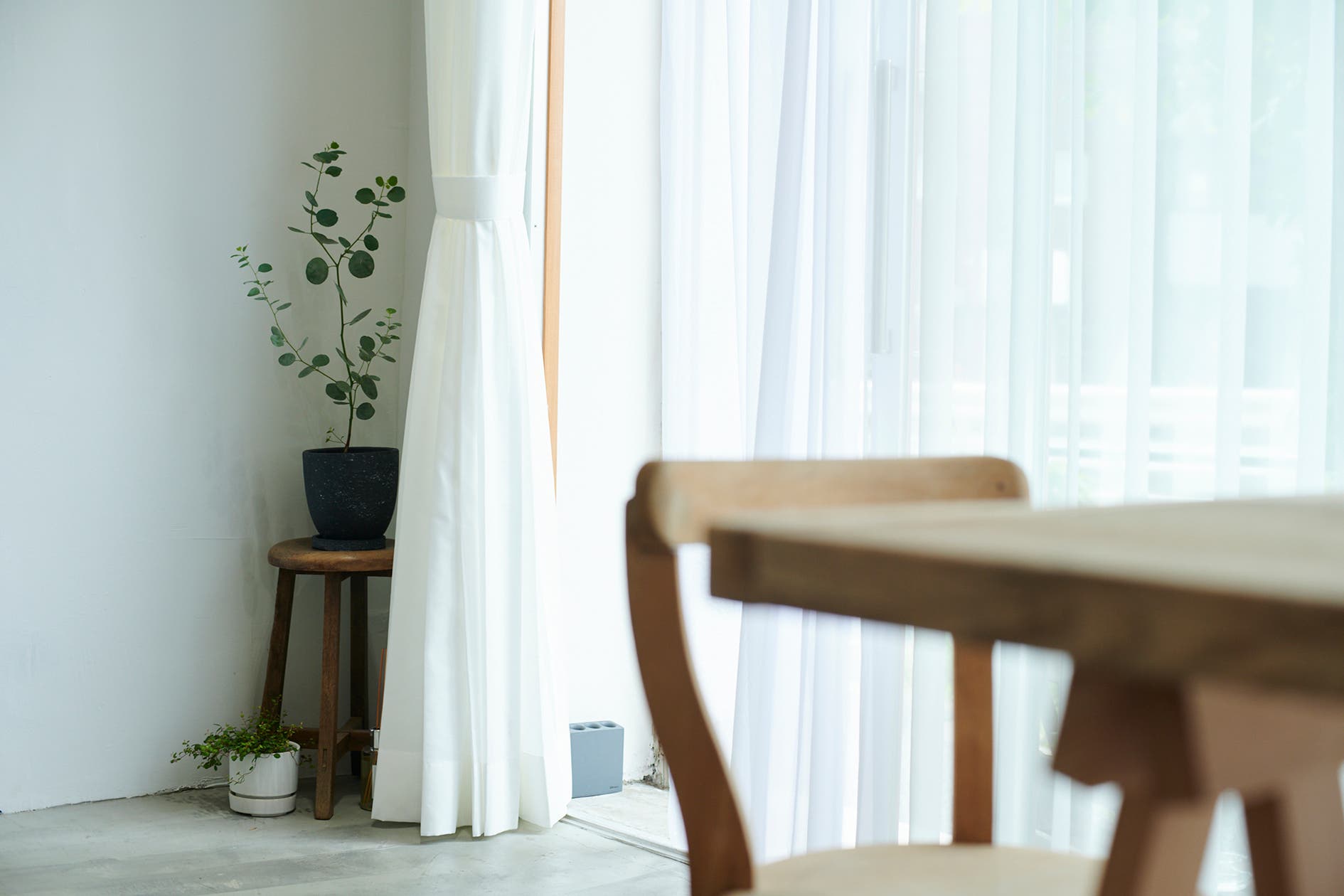 優しい自然光と白壁で撮影できる小さいフォトスタジオの写真13