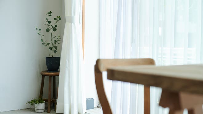 優しい自然光と白壁で撮影できる小さいフォトスタジオの写真13