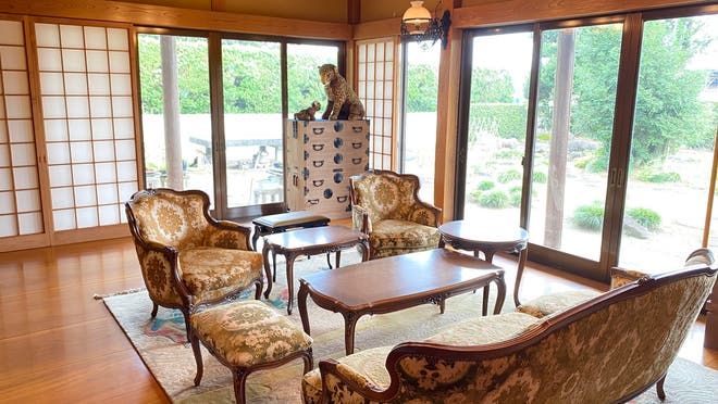 純和風家屋、和洋館風インテリア!部屋前は和園、写真撮影や作品展覧会に最適!の写真1